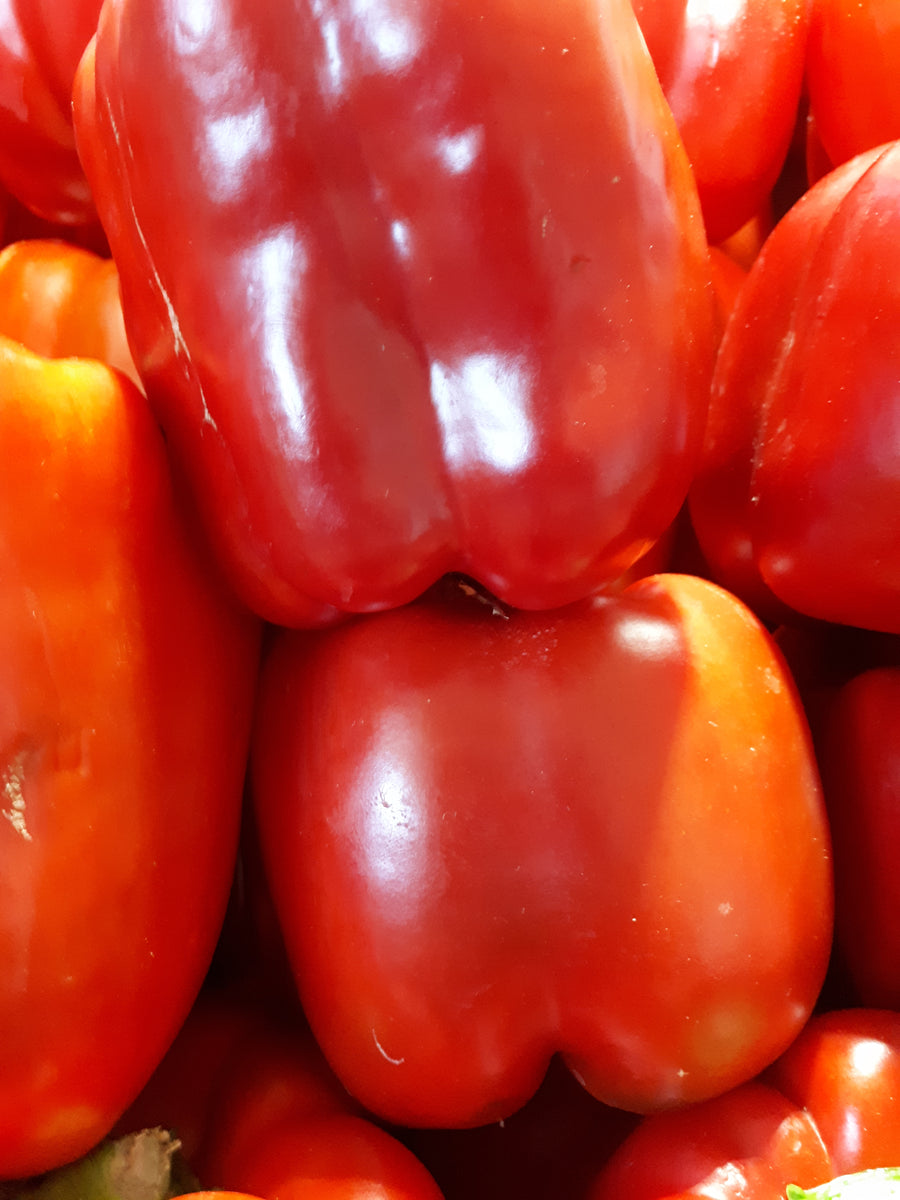 Red Capsicum box 8kg – Pellegrinos Fresh Fruits