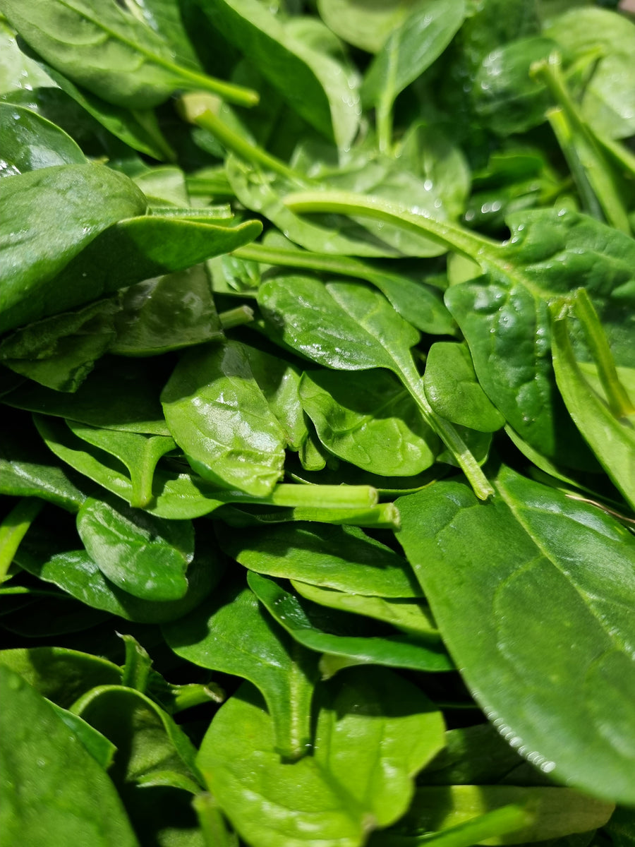 BABY SPINACH BOX – Pellegrinos Fresh Fruits