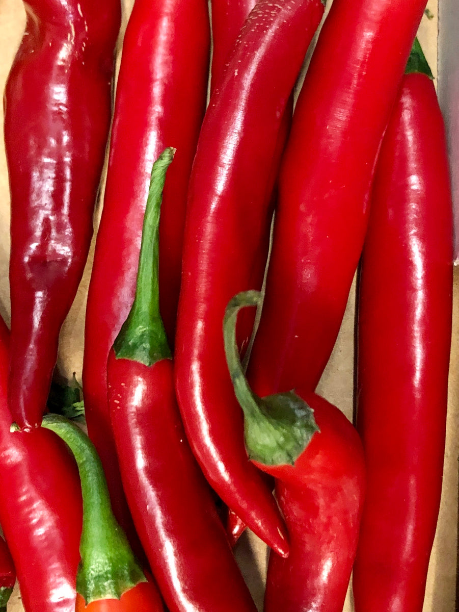 Chilli Red – Pellegrinos Fresh Fruits