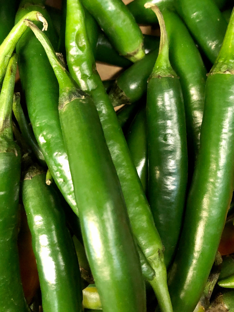 Chilli Green – Pellegrinos Fresh Fruits